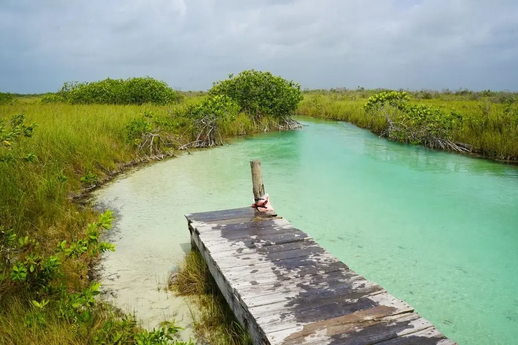 Essential guide to the Sian Ka'an Biosphere to read before booking your ...