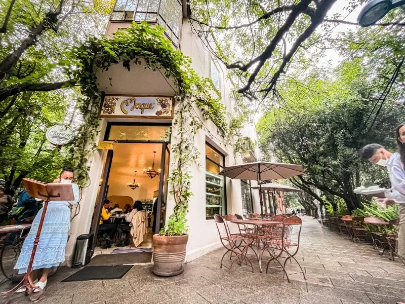 The 37 Best Restaurants in Roma Norte & Condesa Mexico City