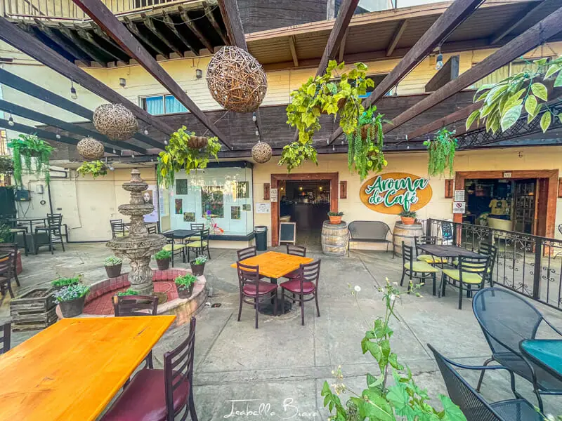 27 Best Things to Do in Ensenada: Complete Guide 2025